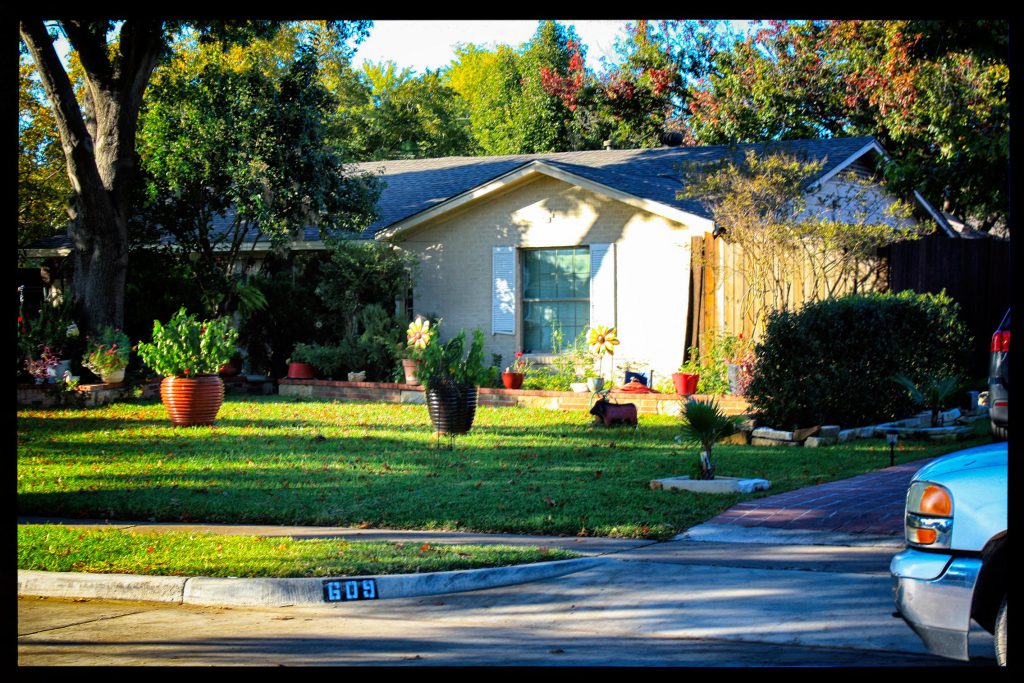 Later Life – Jeremy Wade Delle